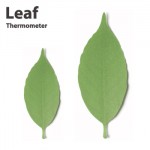 Leaf thermometer | JAPANESE DESIGN
